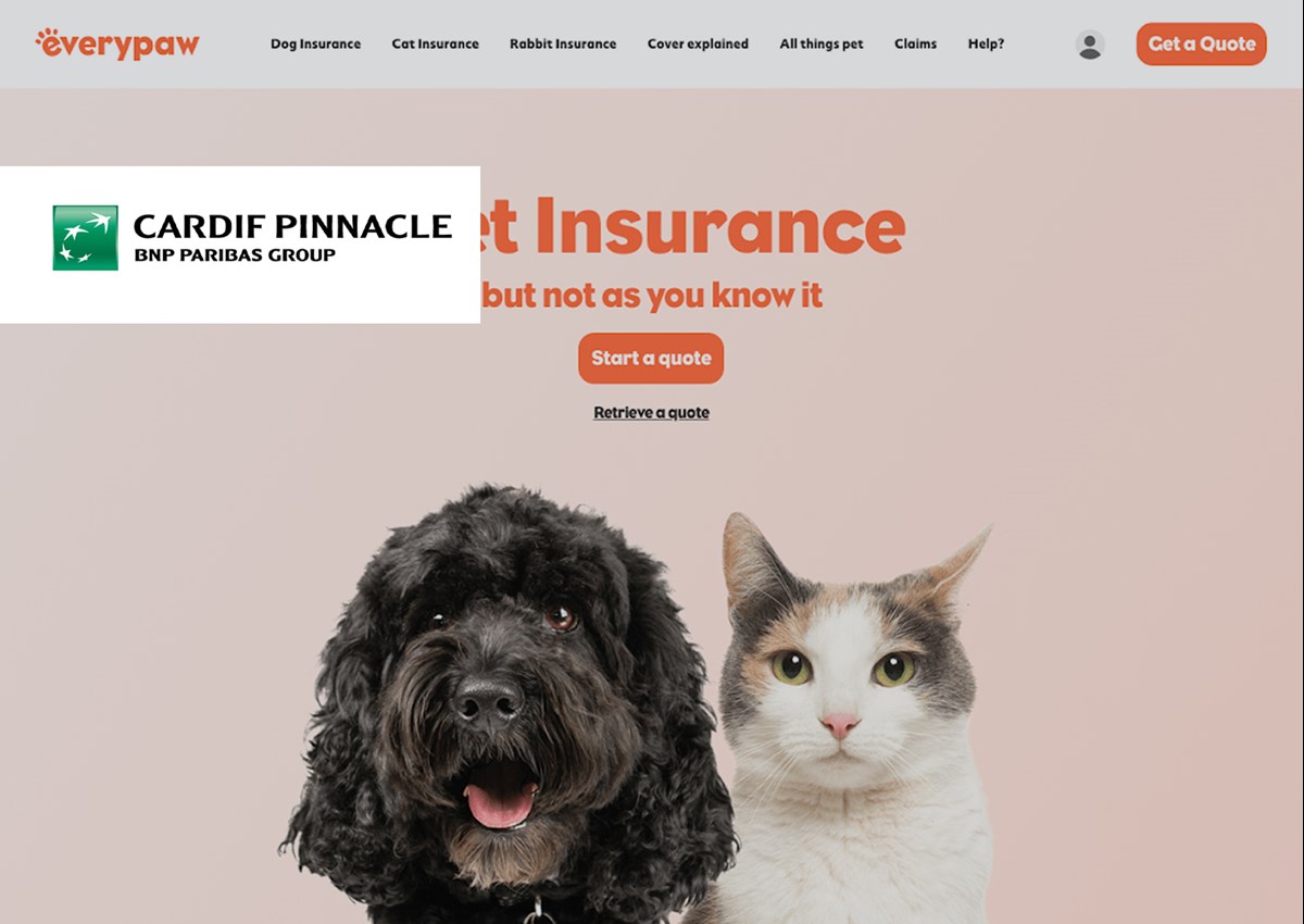 New pet brand designed for Cardif Pinnacle's Everypaw | Pancentric Digital