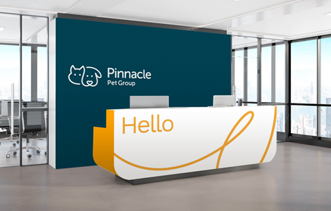 New group identity for leading insurer Cardif Pinnacle | Pancentric Digital