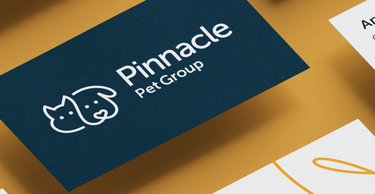 New group identity for leading insurer Cardif Pinnacle | Pancentric Digital