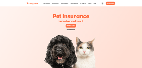 New pet brand designed for Cardif Pinnacle's Everypaw | Pancentric Digital